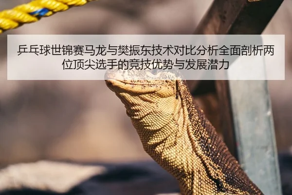 梅西未来去向引发国际足球转会市场热议西甲球队可能成为新归宿 - 韦德体育